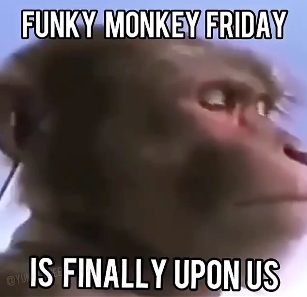 Its Funky Monkey Friday boys! - Off Topic - Arcane Odyssey