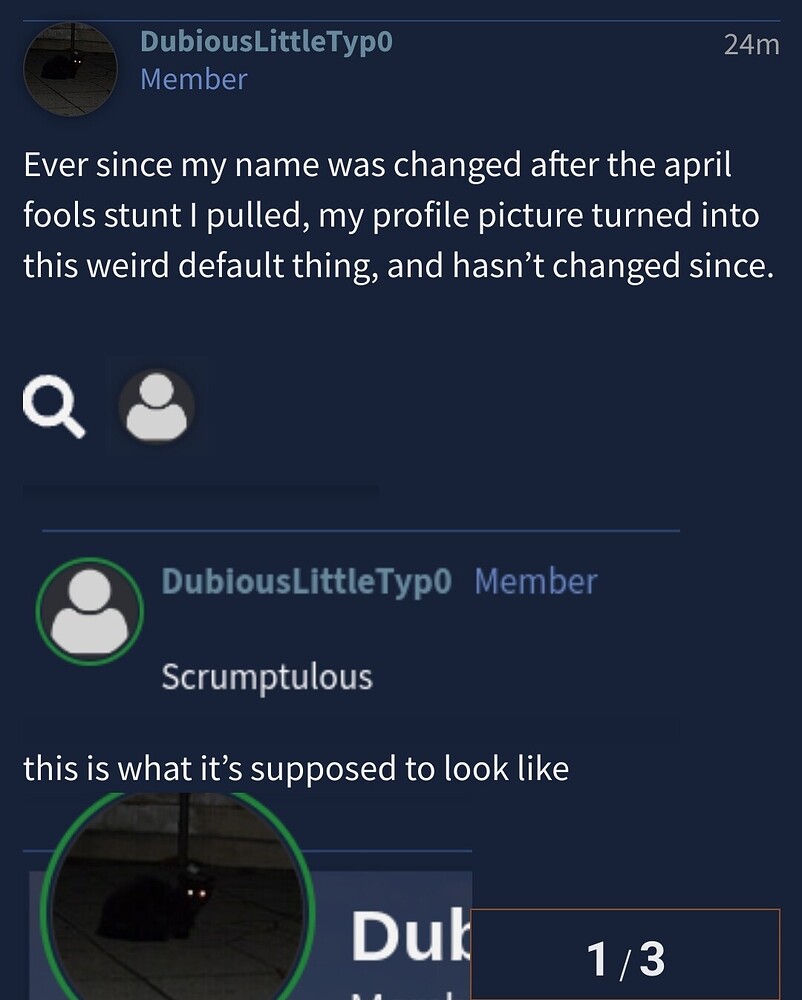What the [rule 22] is wrong with my pfp - Site Feedback - Arcane Odyssey
