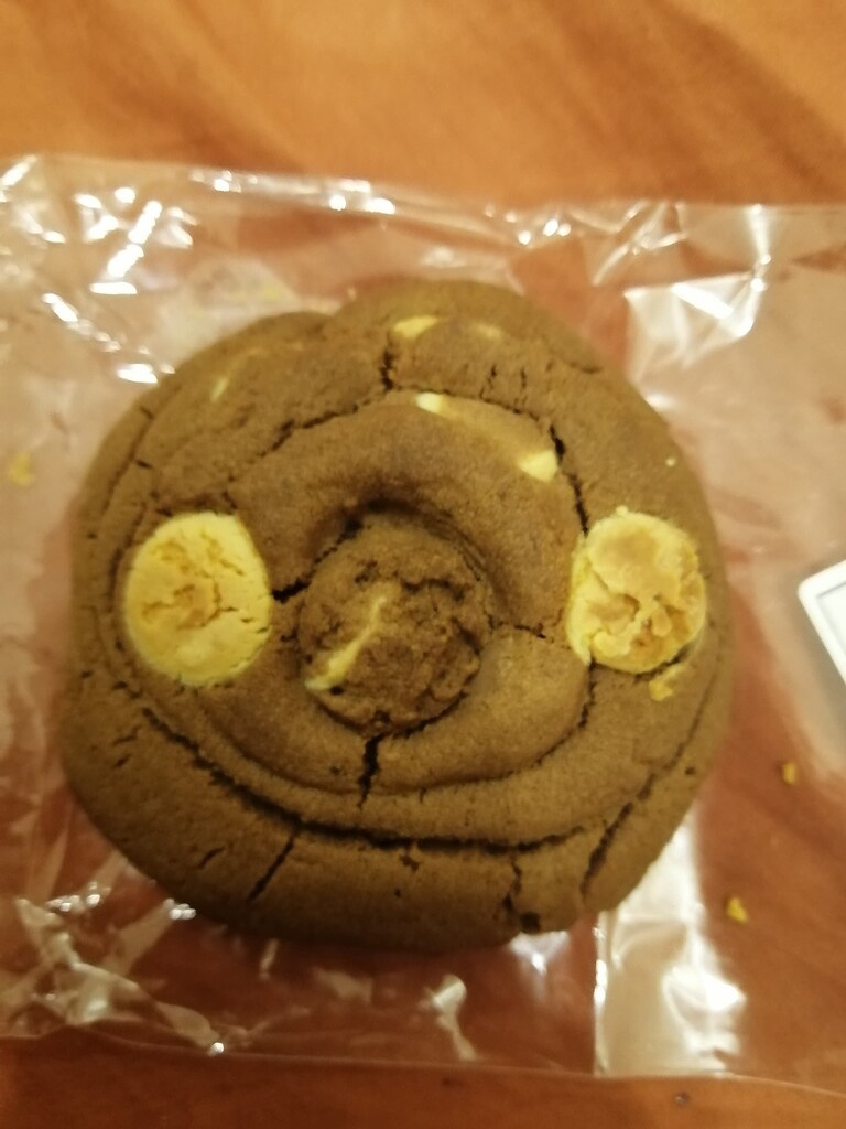 Derpy lookin cookie - Off Topic - Arcane Odyssey