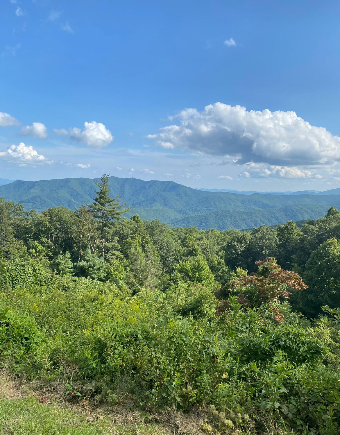 Why cloud magic would actually be really freaking epic - Game Discussion - Arcane Odyssey