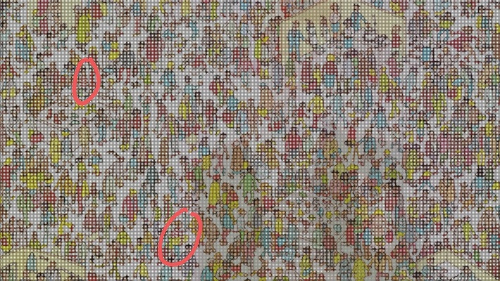 Find Waldo - Off Topic - Arcane Odyssey