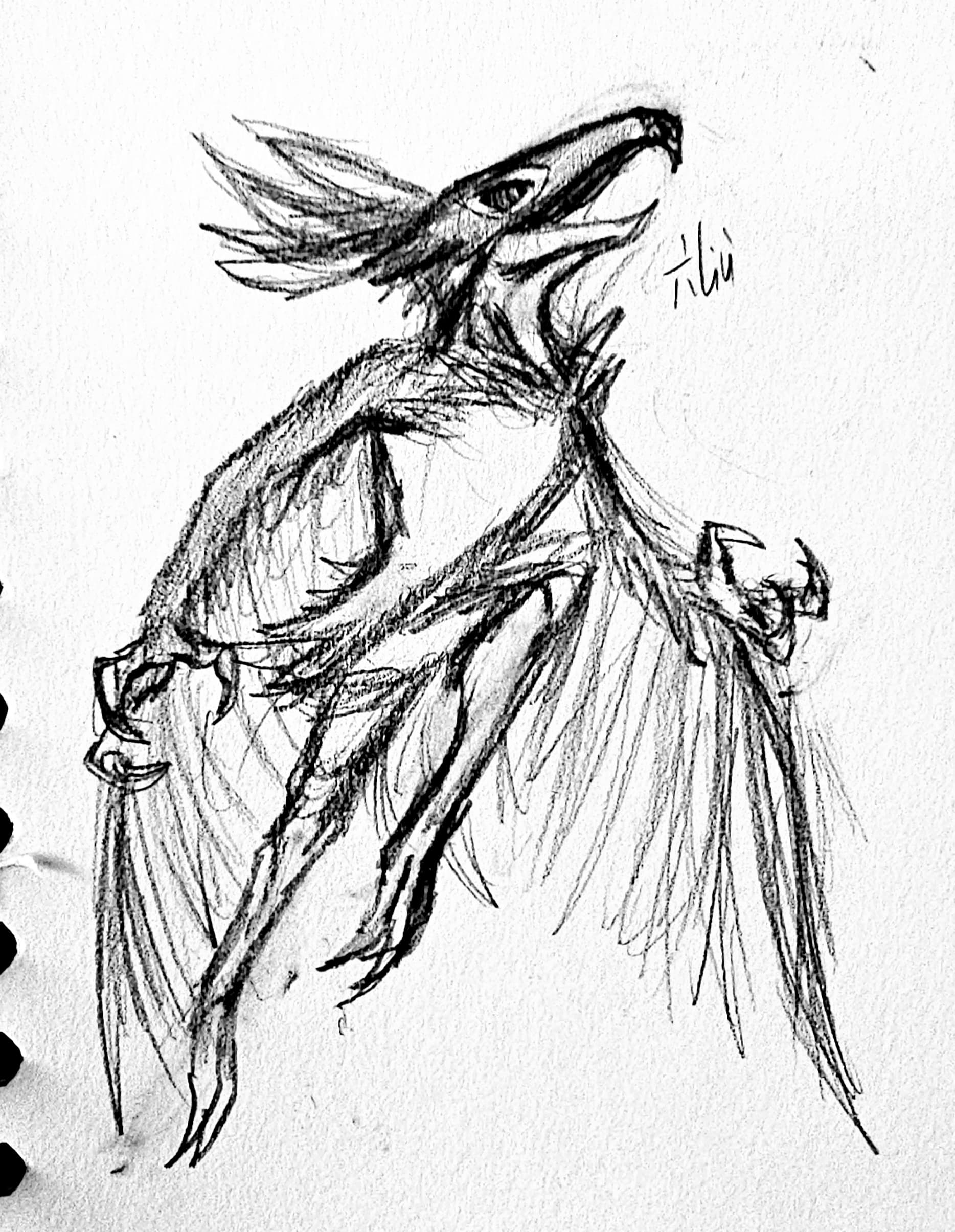 Pokémon doodle megathread - Page 2 - Off Topic - Arcane Odyssey